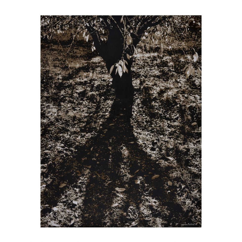 Denis Brihat | Galerie Parallax, galerie d'Art dédiée à la photographie ...