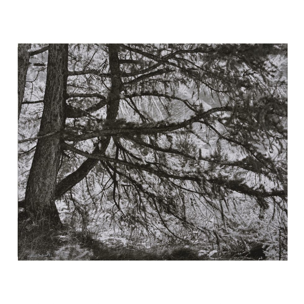 Denis Brihat | Galerie Parallax, galerie d'Art dédiée à la photographie ...